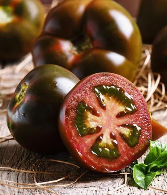 Luxus Schwarze Tomaten Giftig Bild